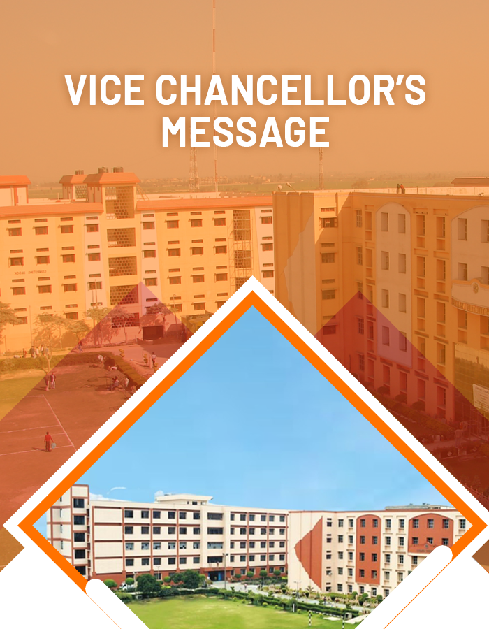 Vice Chancellor's Message - Lingaya's Vidyapeeth