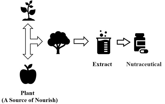 Innovations in Nutraceutical: Current Practices, Potential Applications
